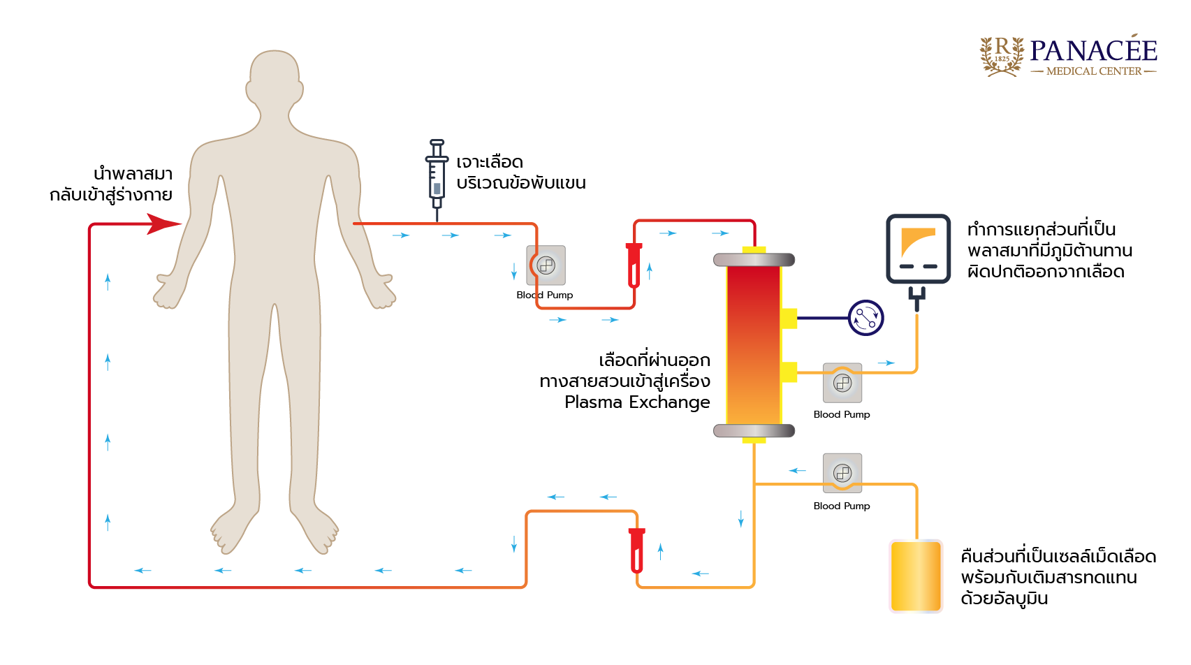 ความรู้เกี่ยวกับเซลล์บำบัด